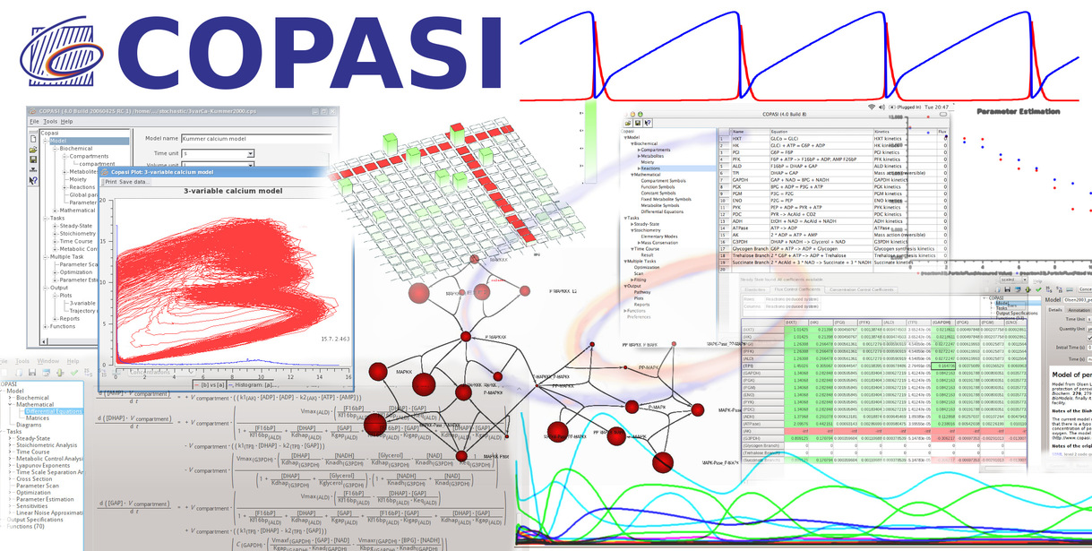 COPASI (@copasi@fosstodon.org) - Fosstodon