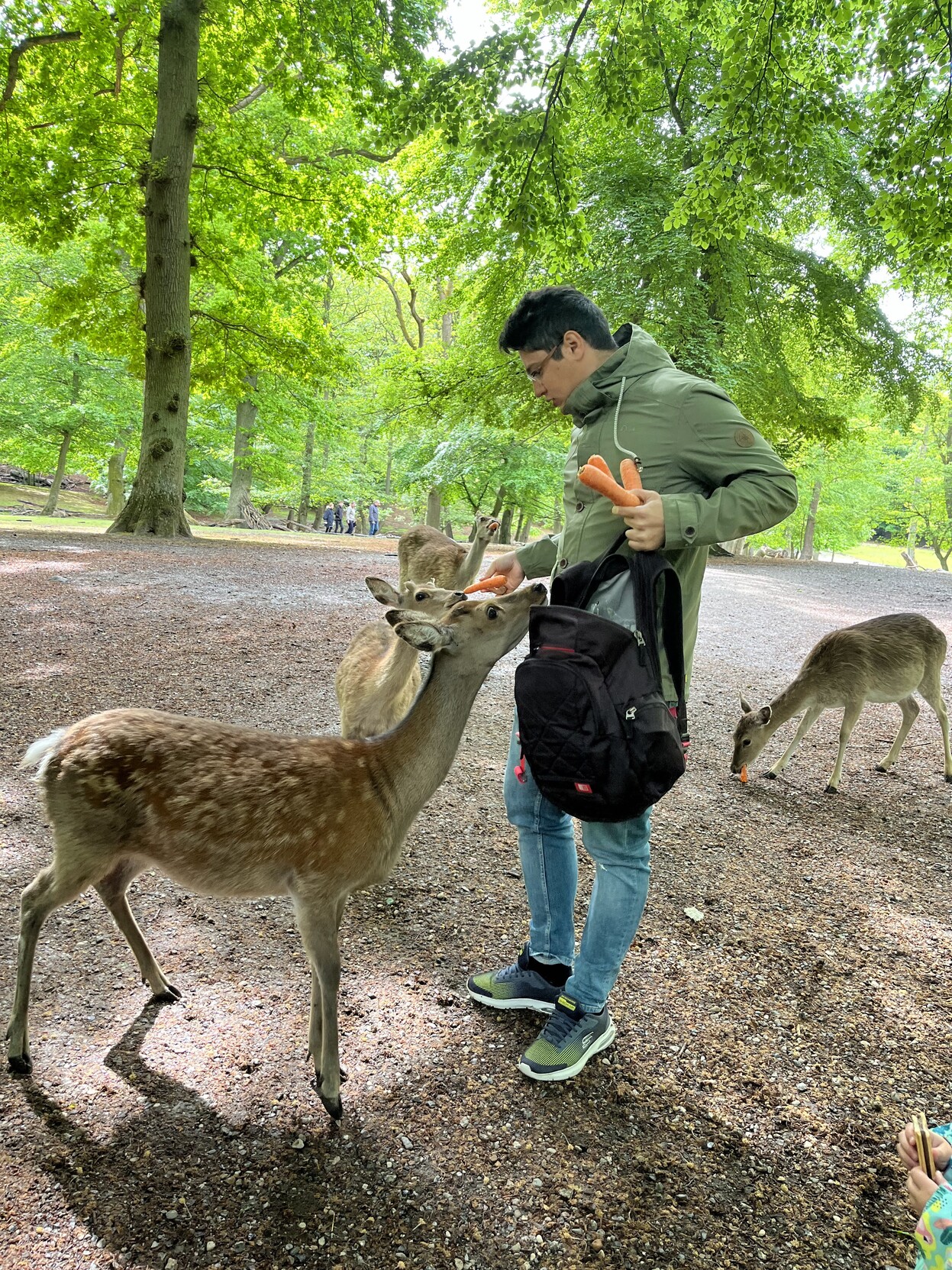 Ilya Kashnitsky (@ikashnitsky@fosstodon.org) - Fosstodon