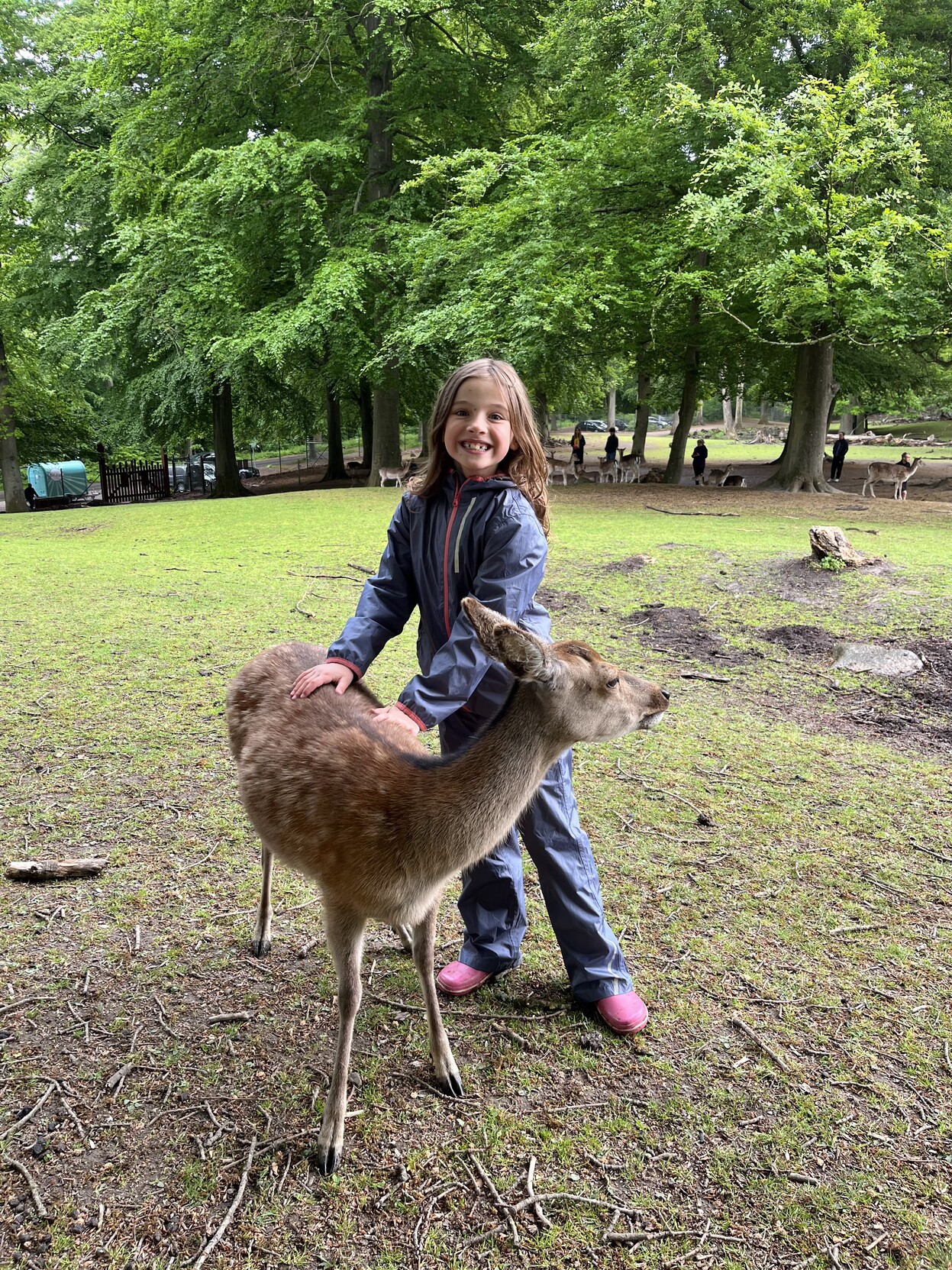 Ilya Kashnitsky (@ikashnitsky@fosstodon.org) - Fosstodon