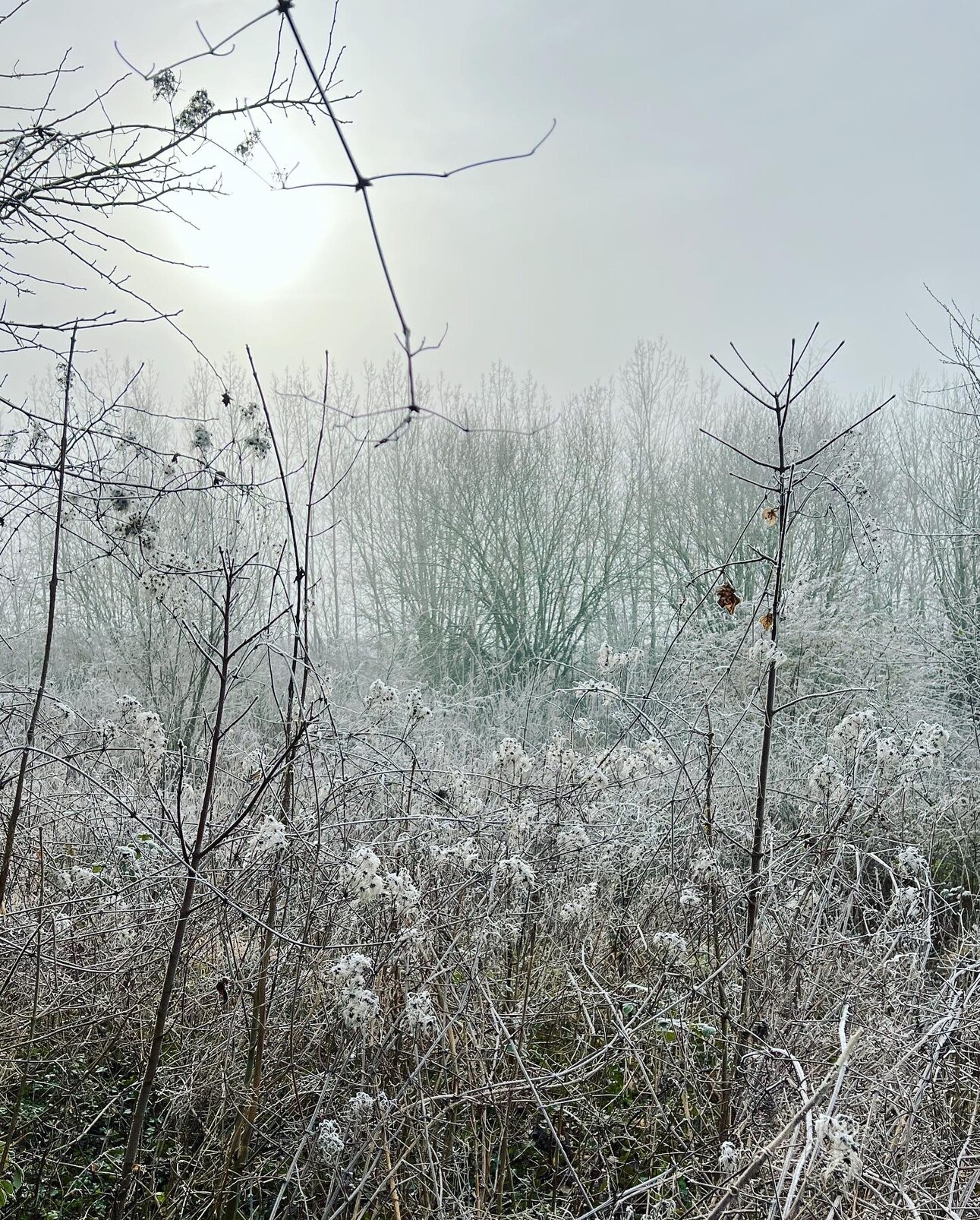 Martin Peck (@martinpeck@fosstodon.org) - Fosstodon