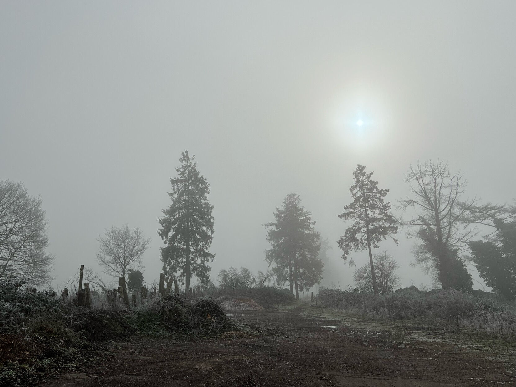 Martin Peck (@martinpeck@fosstodon.org) - Fosstodon