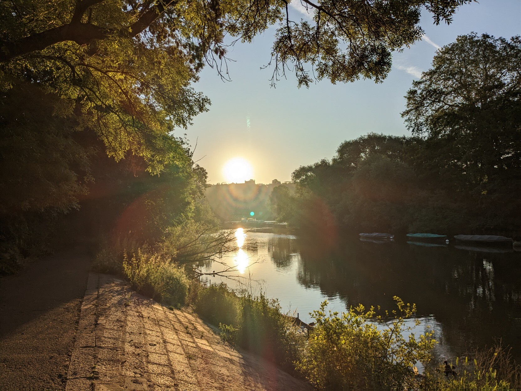 John Reilly ️🌻 (@johnny_reilly@fosstodon.org) - Fosstodon