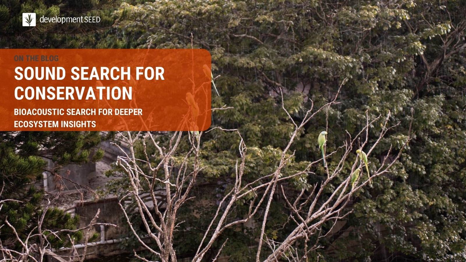 Development Seed (@developmentseed@fosstodon.org) - Fosstodon