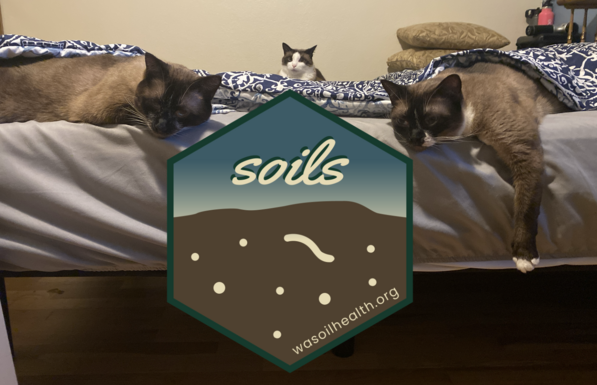 Jadey Ryan :rstats: :blobcat: (@jadeynryan@fosstodon.org) - Fosstodon