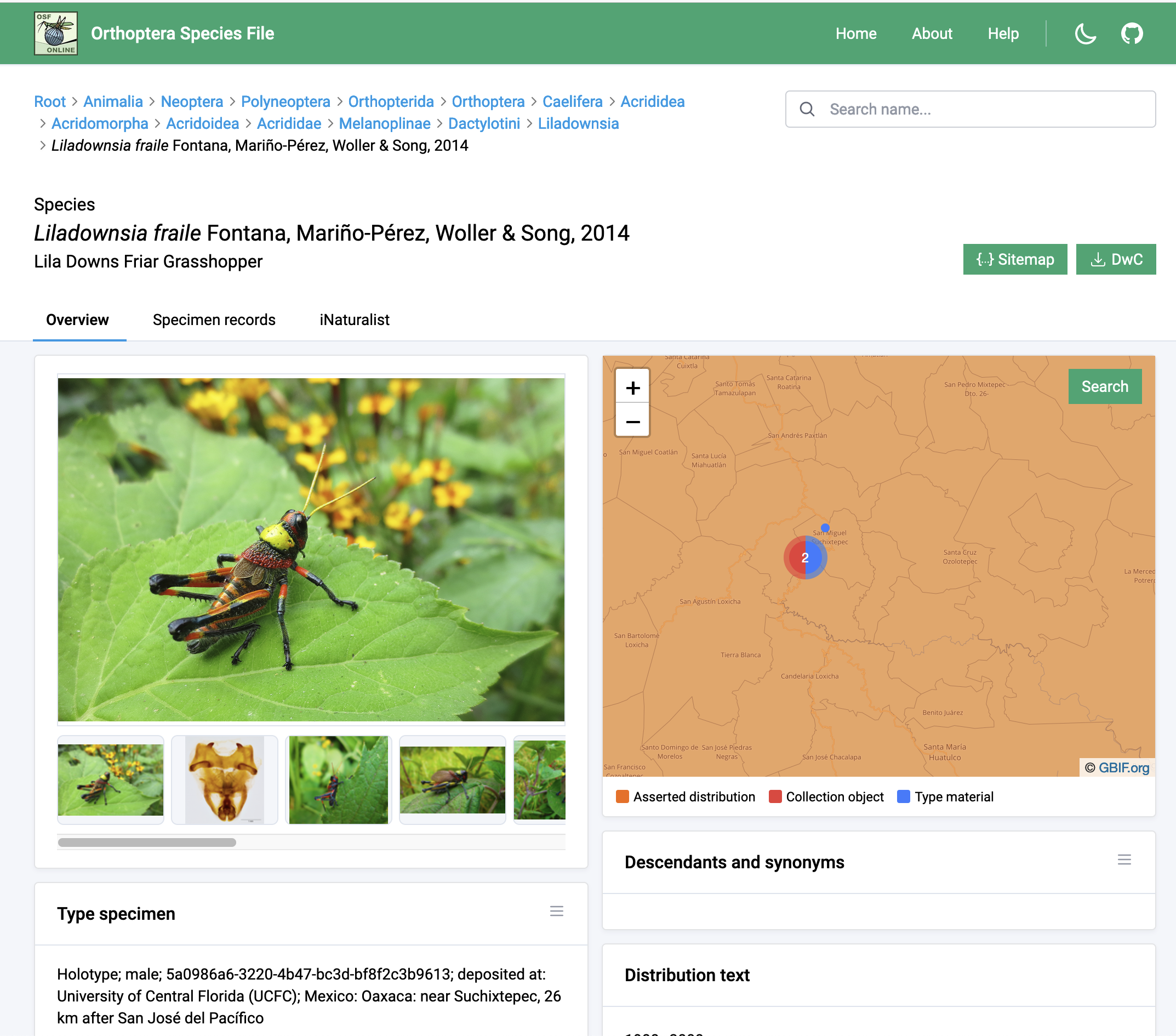 TaxonWorks (@TaxonWorks@fosstodon.org) - Fosstodon