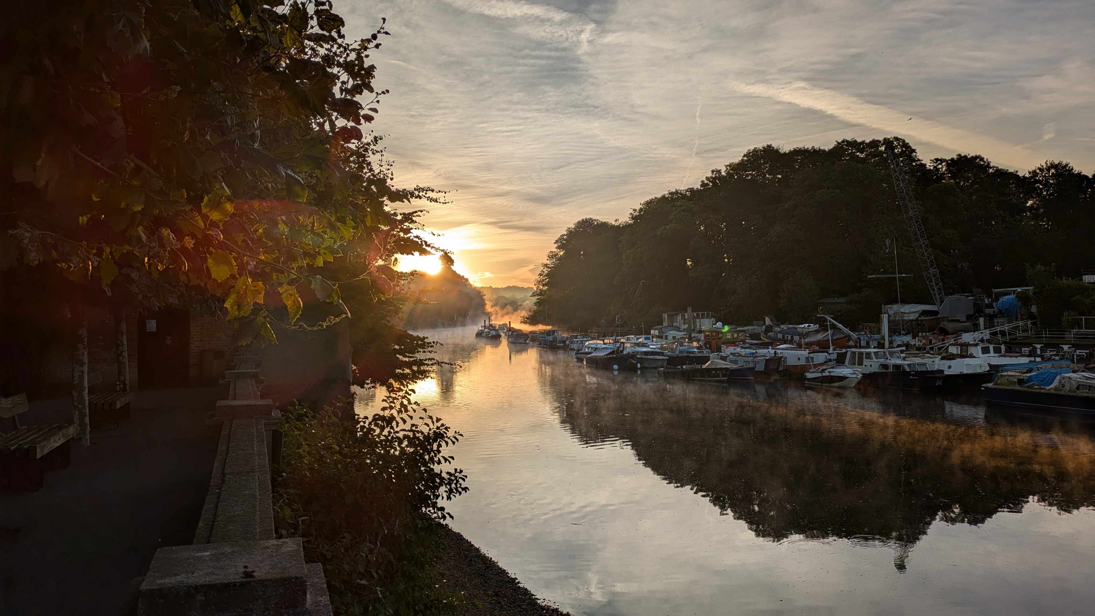 John Reilly ️🌻 (@johnny_reilly@fosstodon.org) - Fosstodon