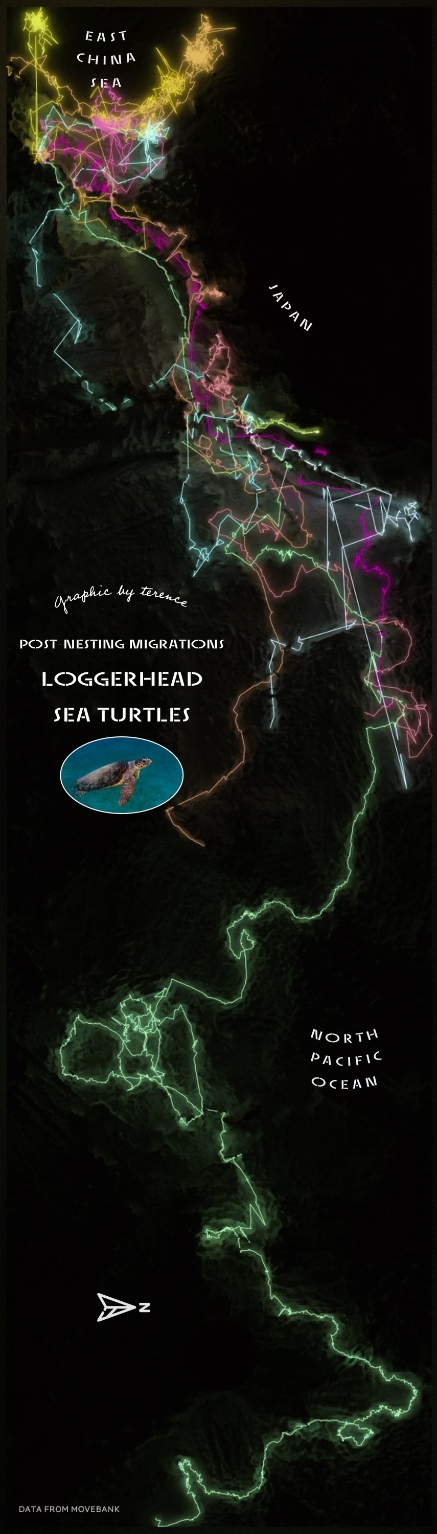 Tyler Morgan-Wall (@tylermorganwall@fosstodon.org) - Fosstodon