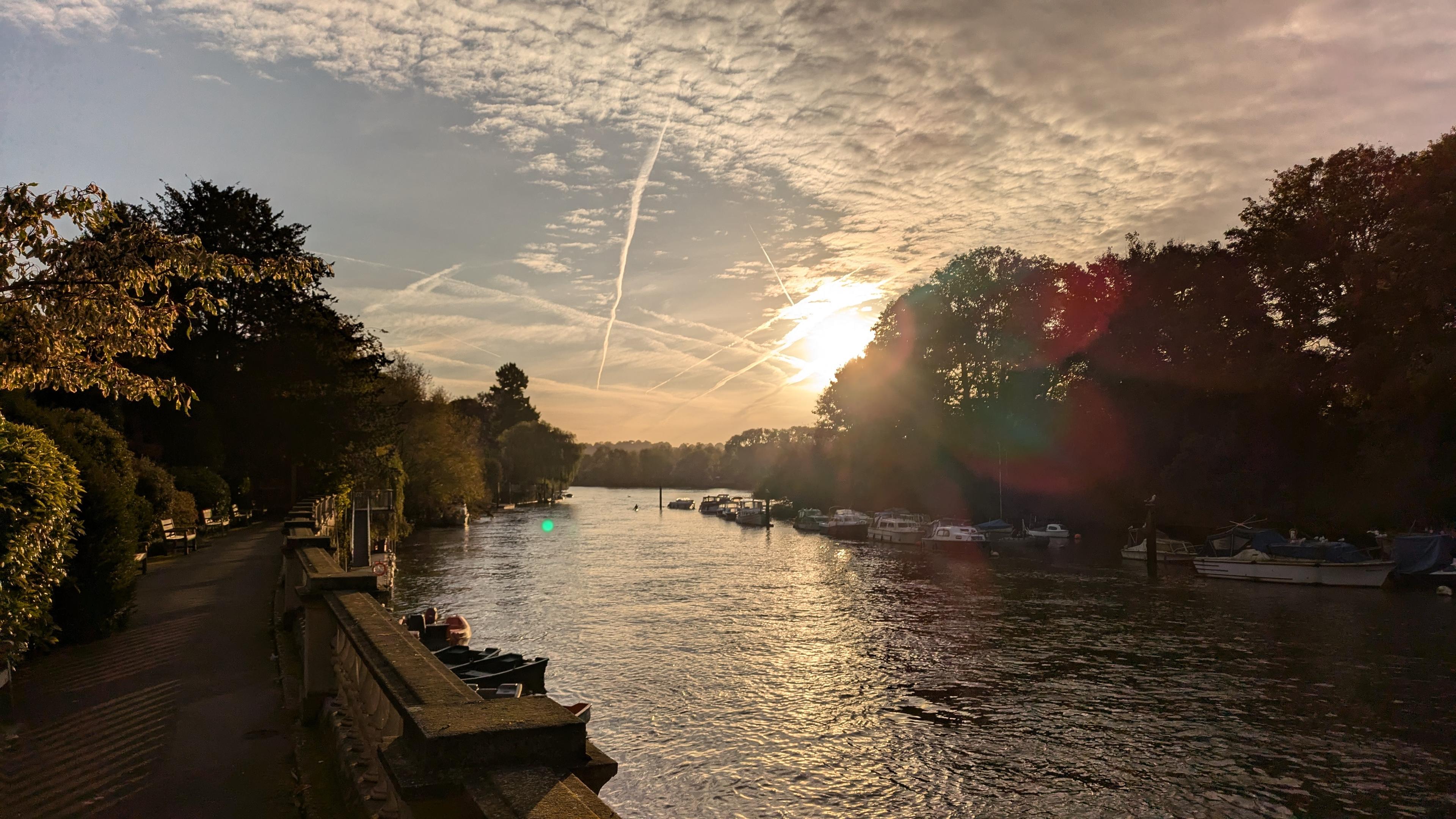 John Reilly ️🌻 (@johnny_reilly@fosstodon.org) - Fosstodon