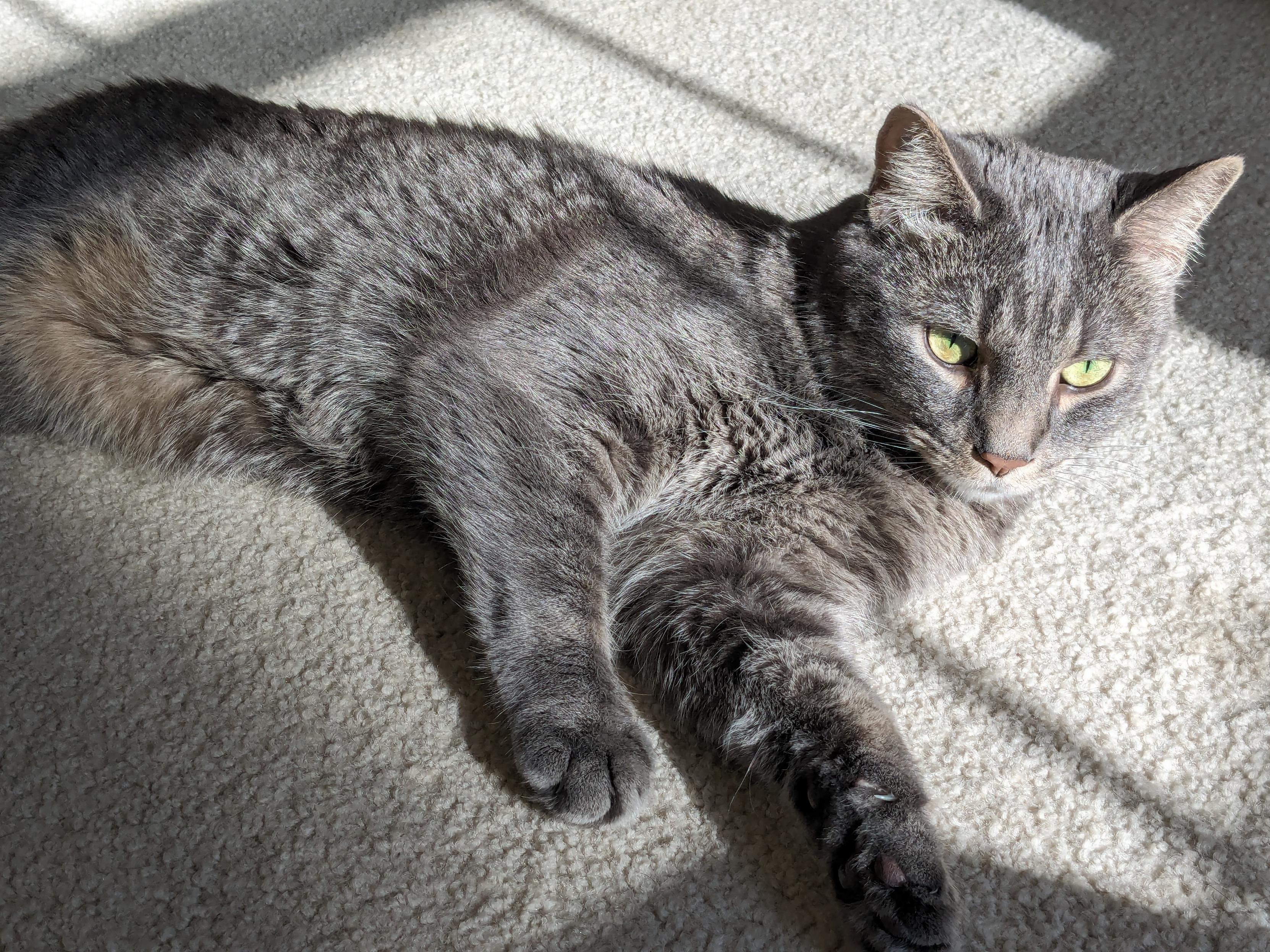 James Endres Howell (@jameshowell@fosstodon.org) - Fosstodon